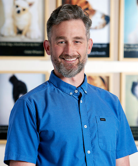 El Cerrito, CA 94530 Veterinarians | Abbey Pet Hospital